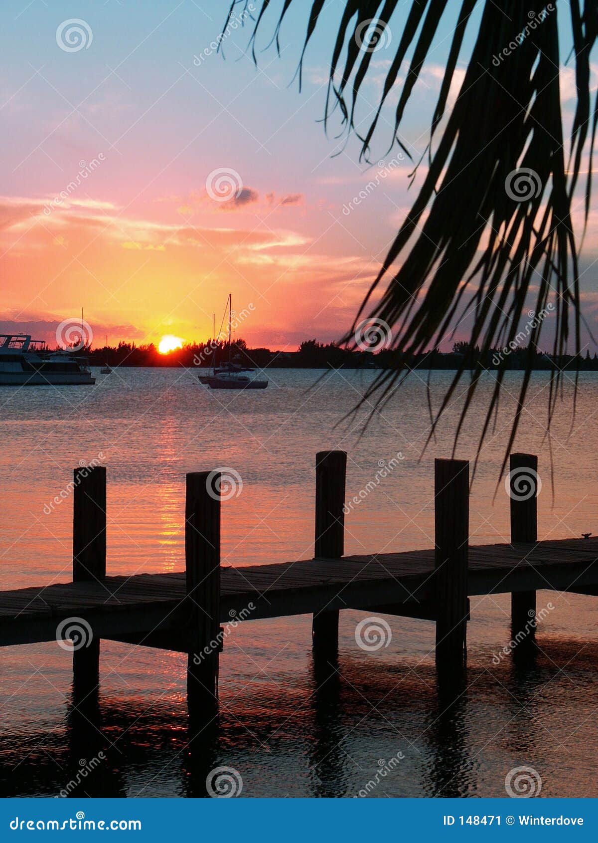 Key Largo Sunset II stock image. Image of trees, sunrise - 148471