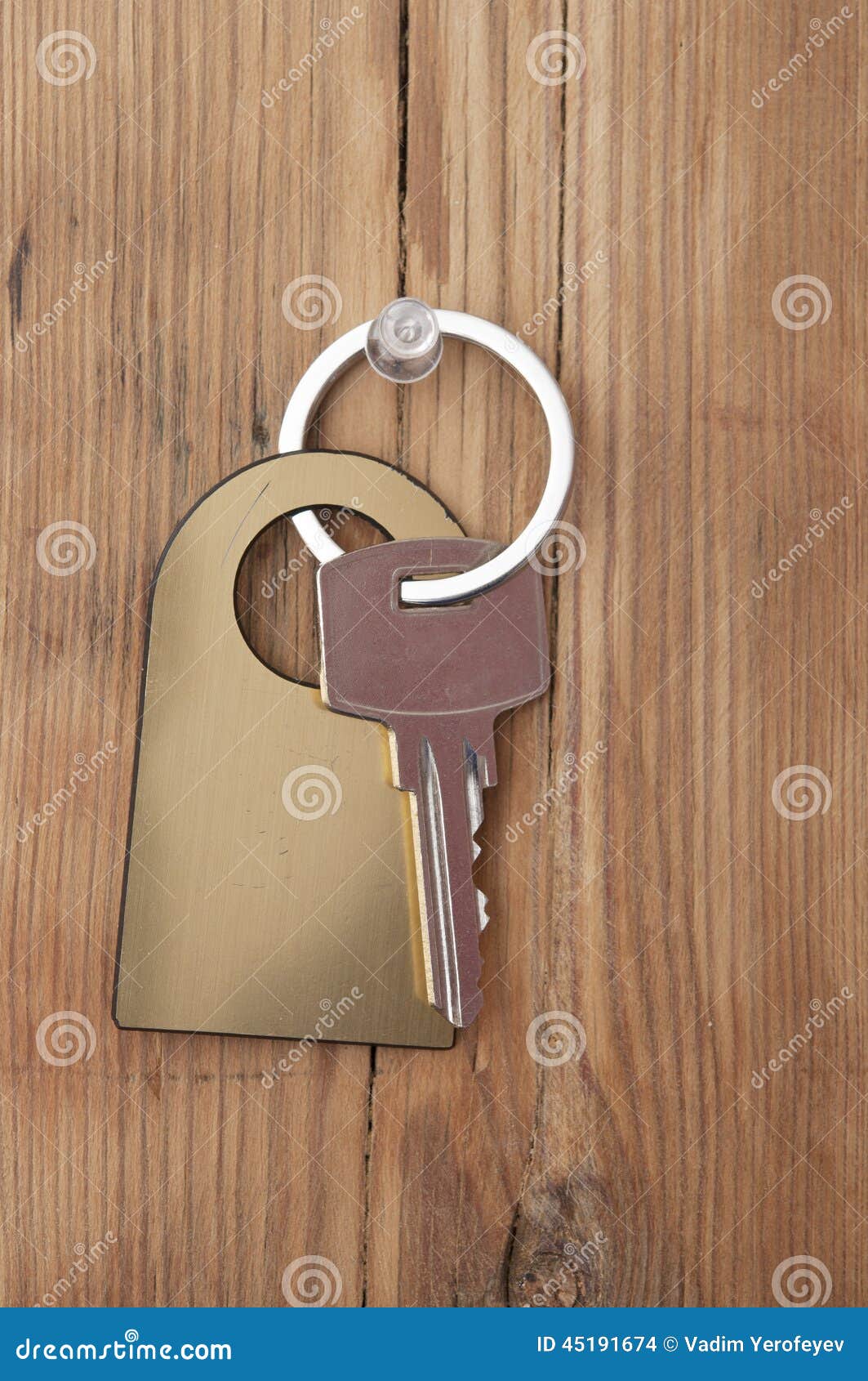 Key of my success stock photo. Image of opportunity, holder - 45191674