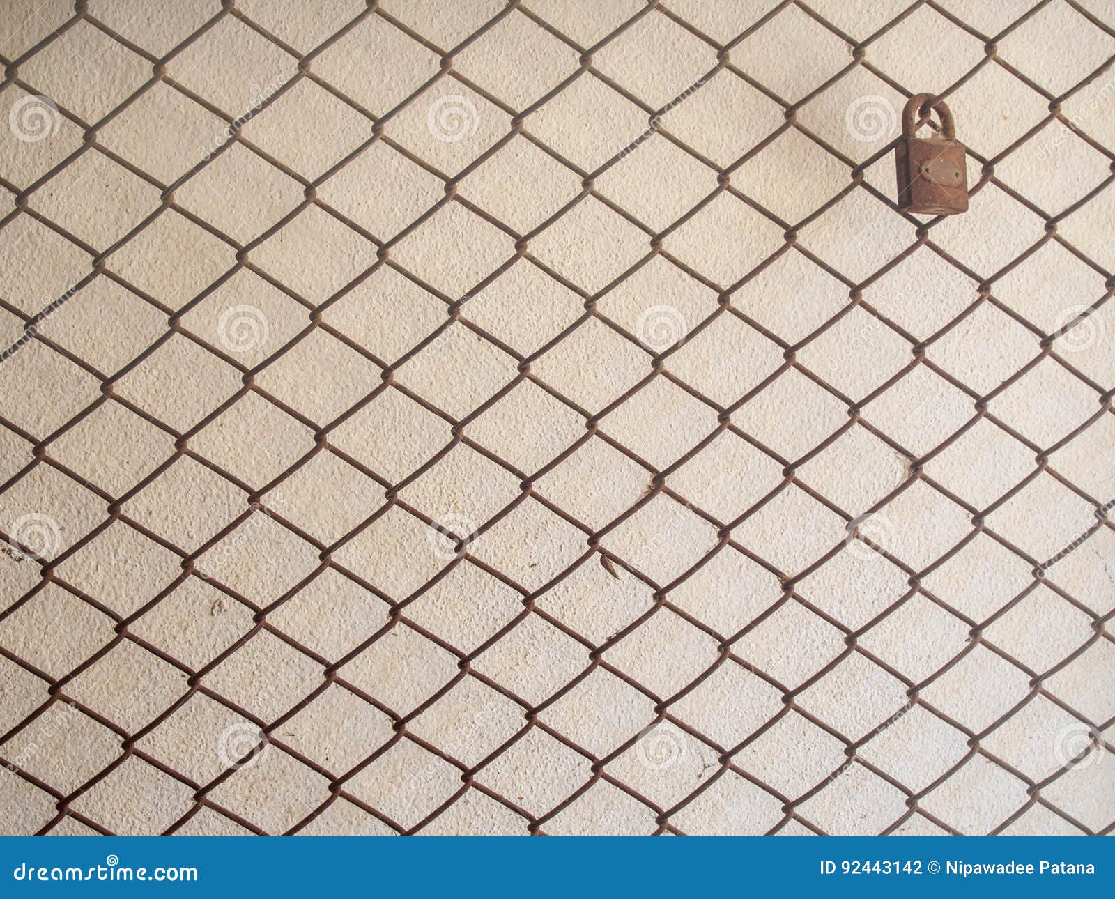 Key on the Old Netting Grid Stock Photo - Image of close, freedom: 92443142