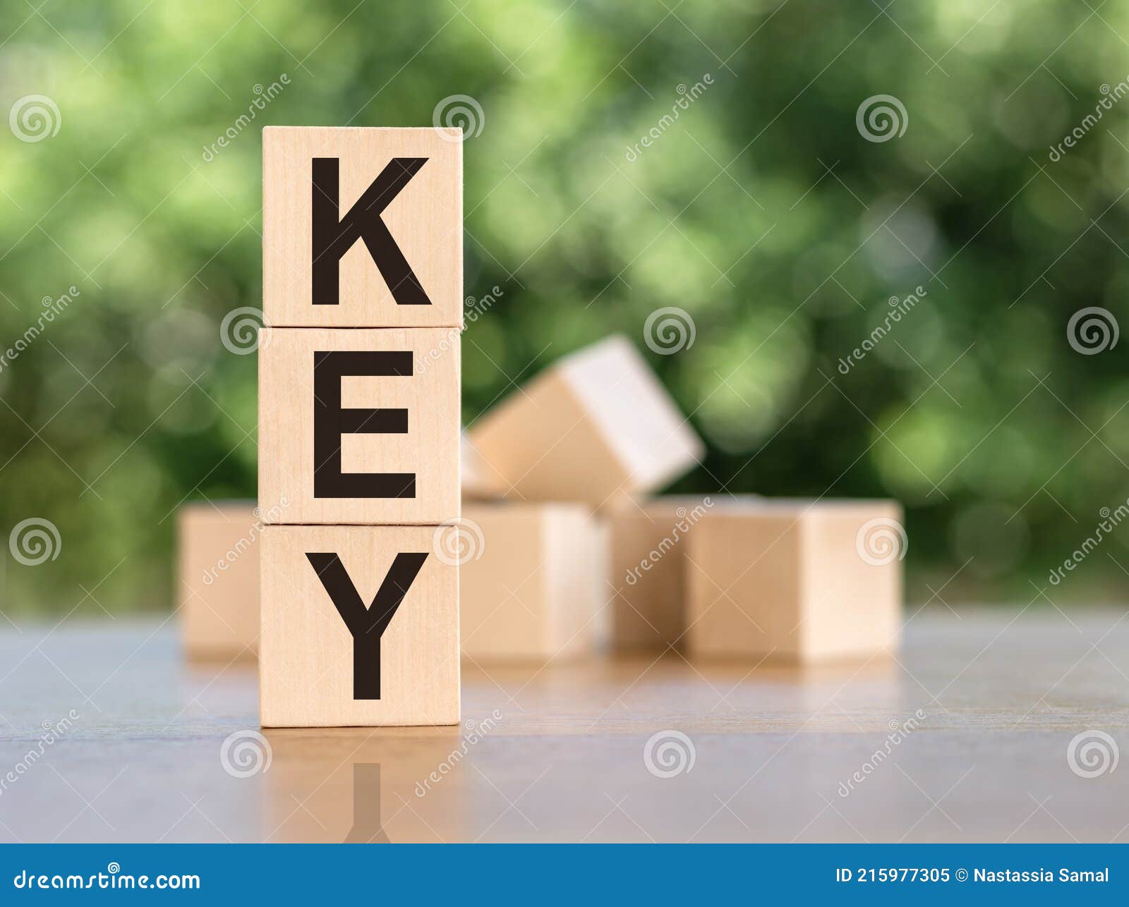 Key Points Word Abstract in Vintage Letterpress Wood Type Stock Image ...