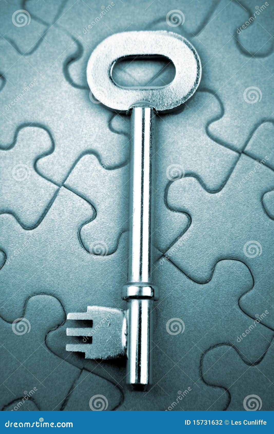 Key on puzzle stock photo. Image of access, choice, problem - 15731632