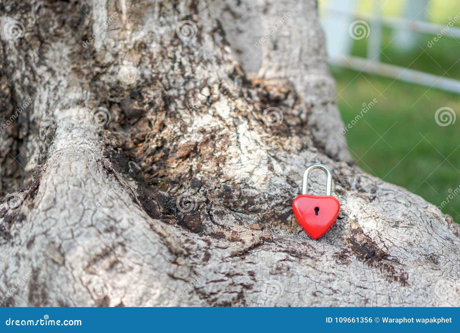 Key Red Heart on a Tree Root, the Concept of Love and Valentine& X27;s ...