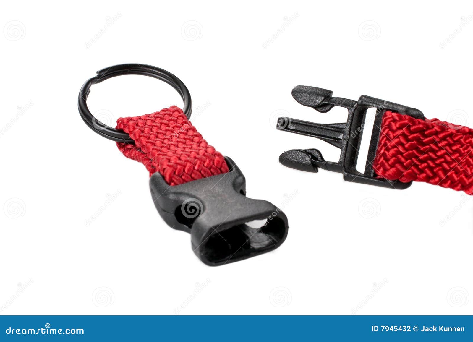 Key Ring and Buckle stock photo. Image of buckle, metal - 7945432