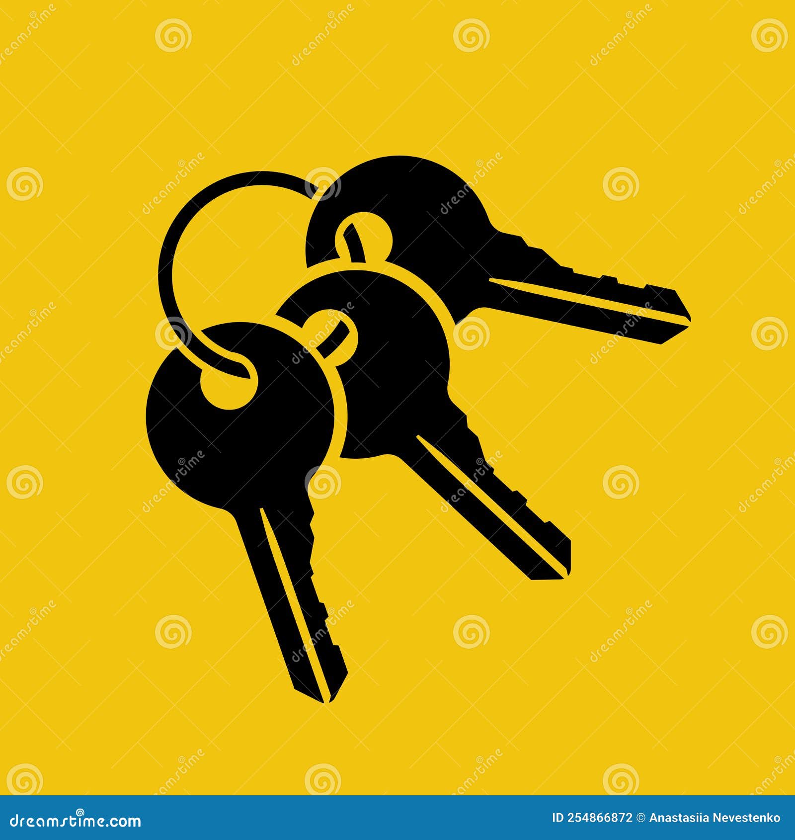 Key with Ring Sign. Black Icon Isolated on Background, Silhouette Stock ...