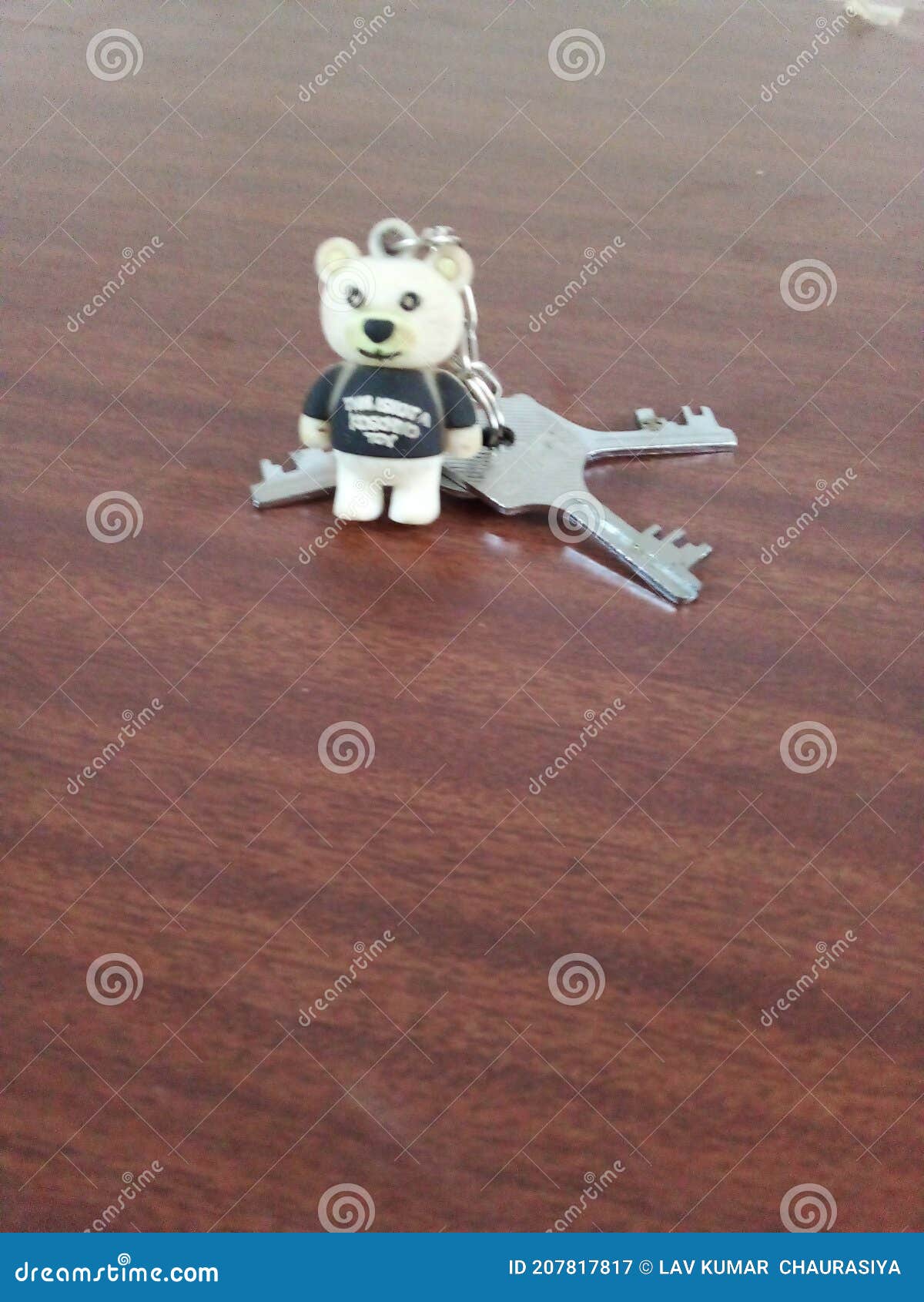 Key Ring teddy bear stock image. Image of bears, bear - 207817817