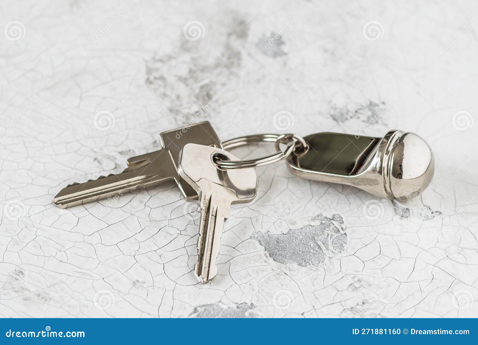 Key Ring with Two Keys and Tag on a White Background Stock Photo ...