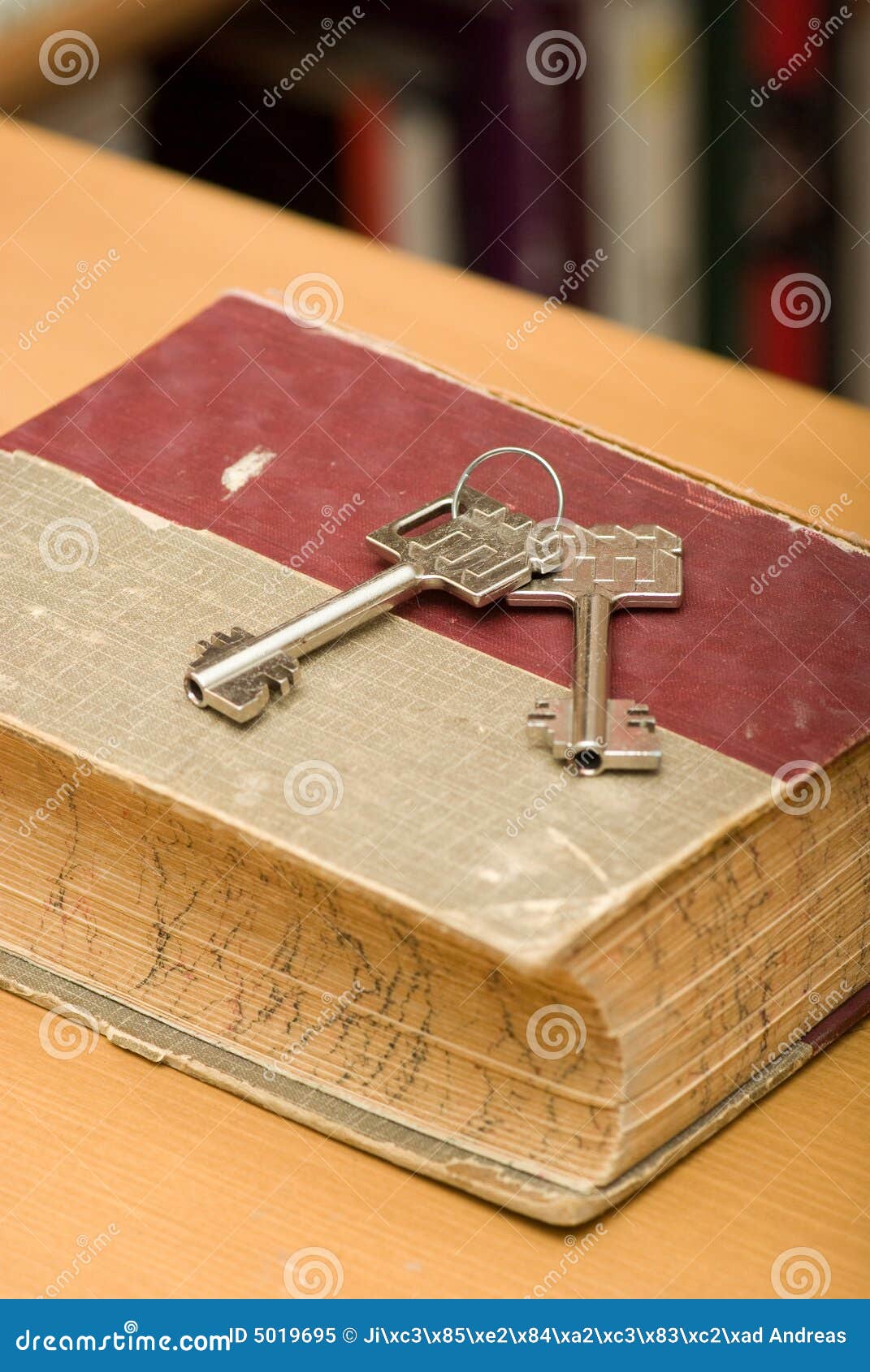 Key from safe deposit box stock image. Image of flower - 5019695