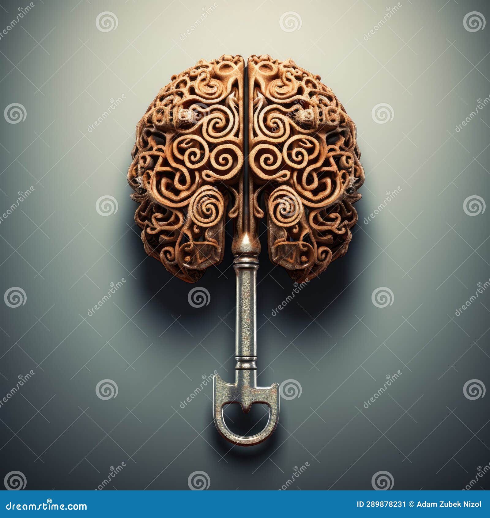 A key shaped like a brain stock illustration. Illustration of ...