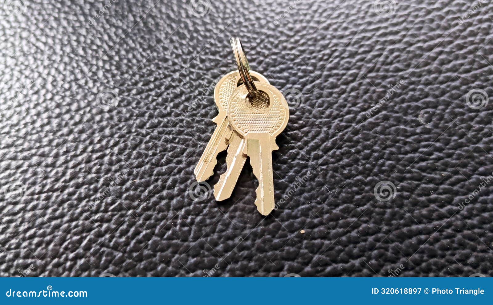 The Key is Silver with a Black Background Stock Illustration ...