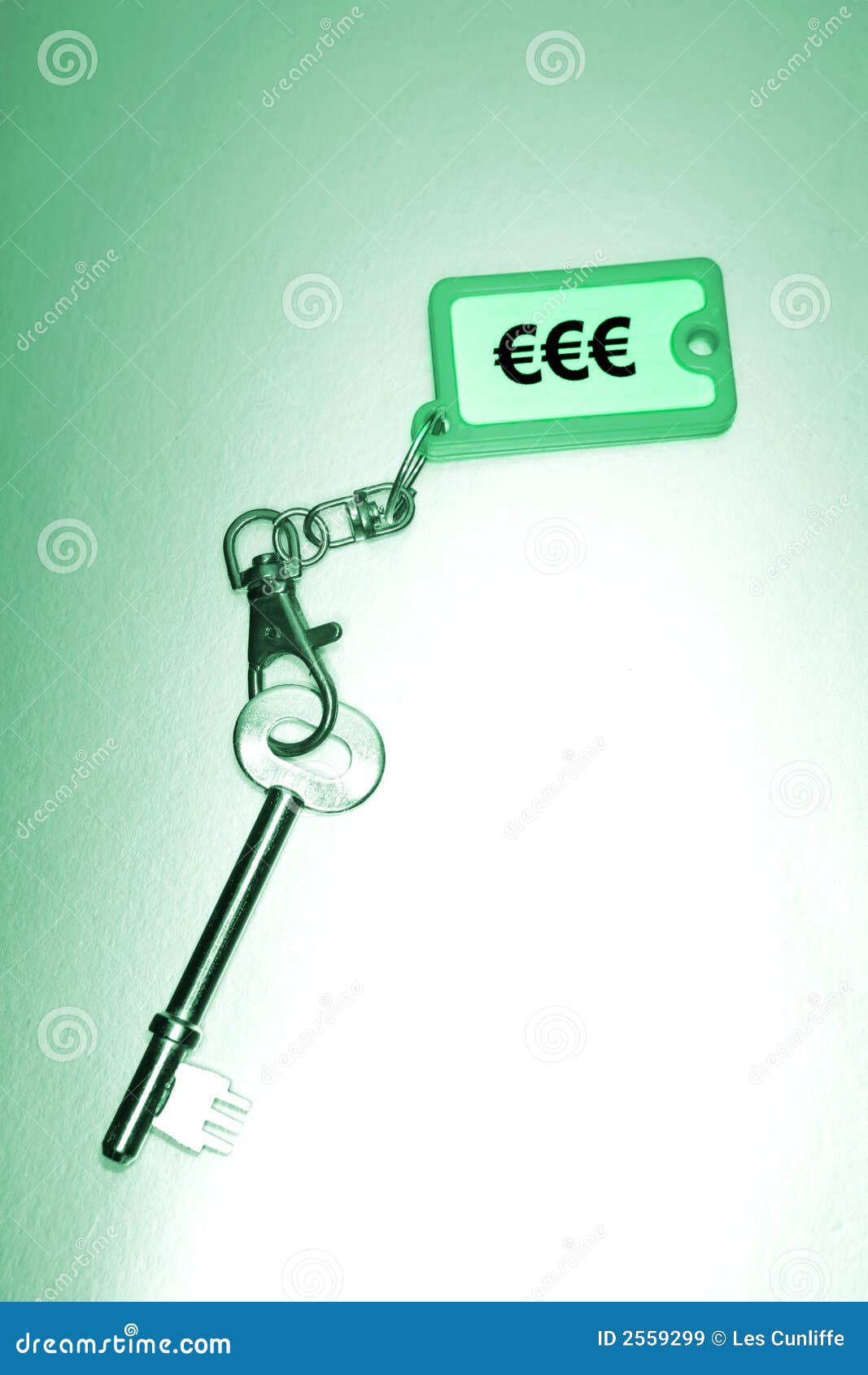 Key and tag stock image. Image of tinted, finance, currency - 2559299