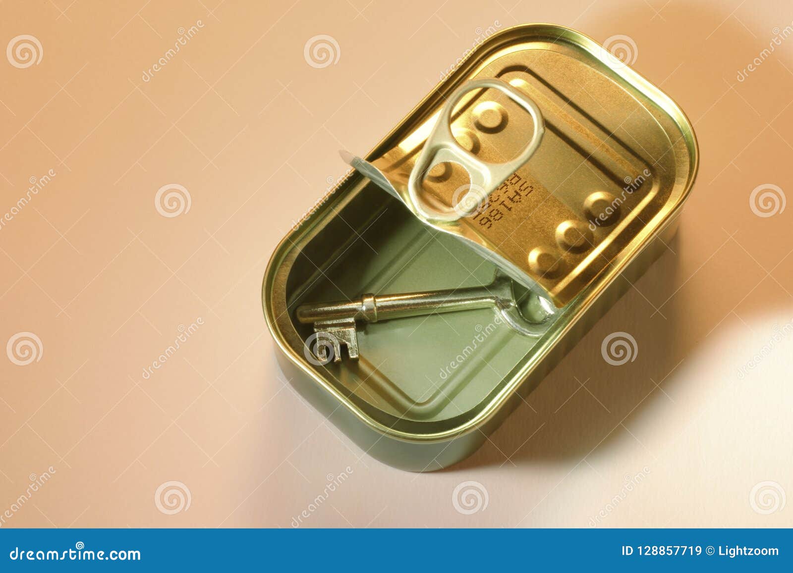 Key in Tin Can stock image. Image of control, skeleton - 128857719