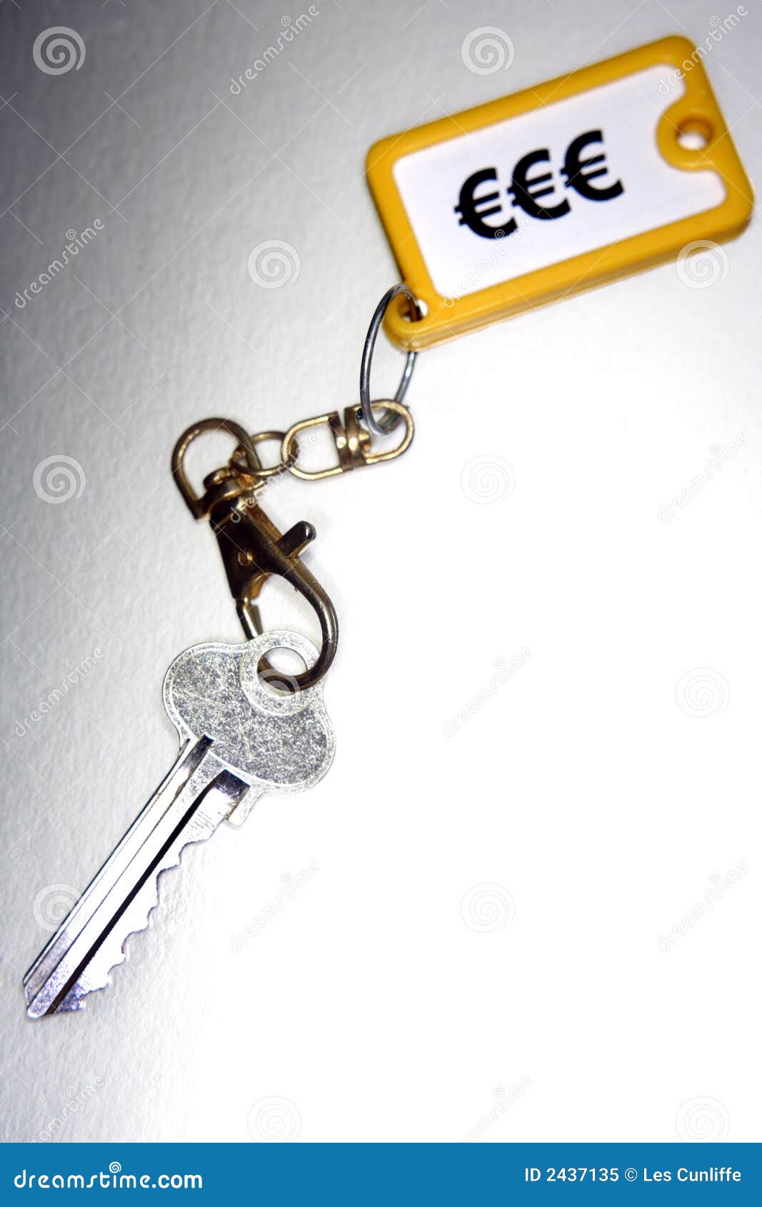 Key to finance stock image. Image of symbol, icon, finance - 2437135