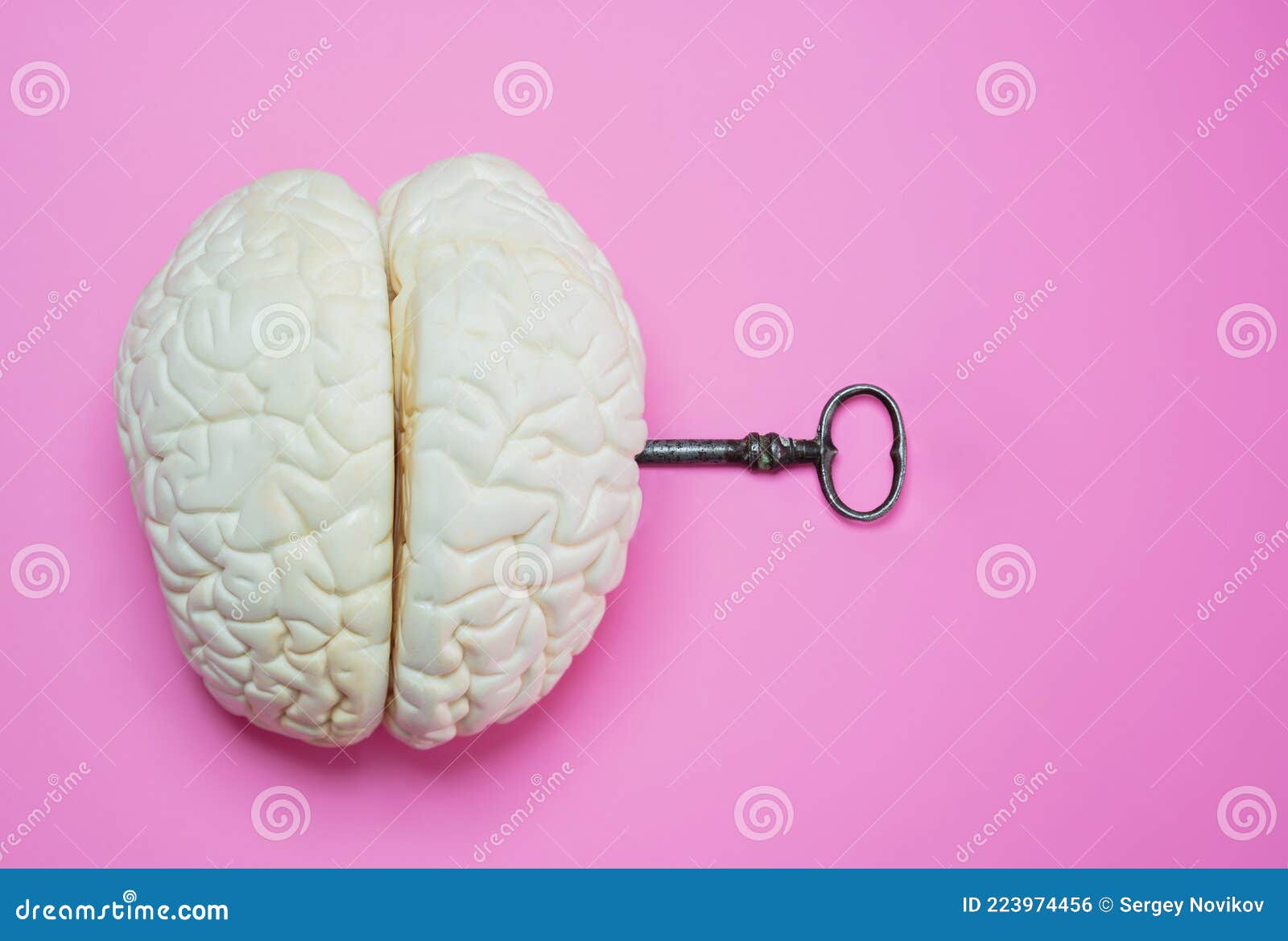 Key To the Human in Brain Opening Mind Enigma Stock Photo - Image of ...