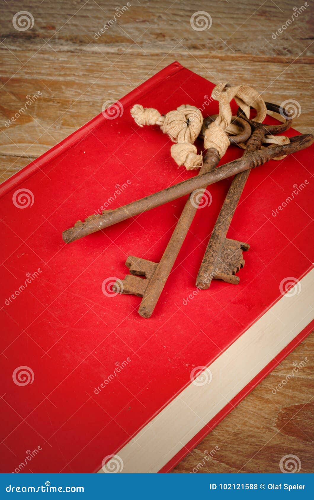 The key to knowledge stock photo. Image of reading, information - 102121588