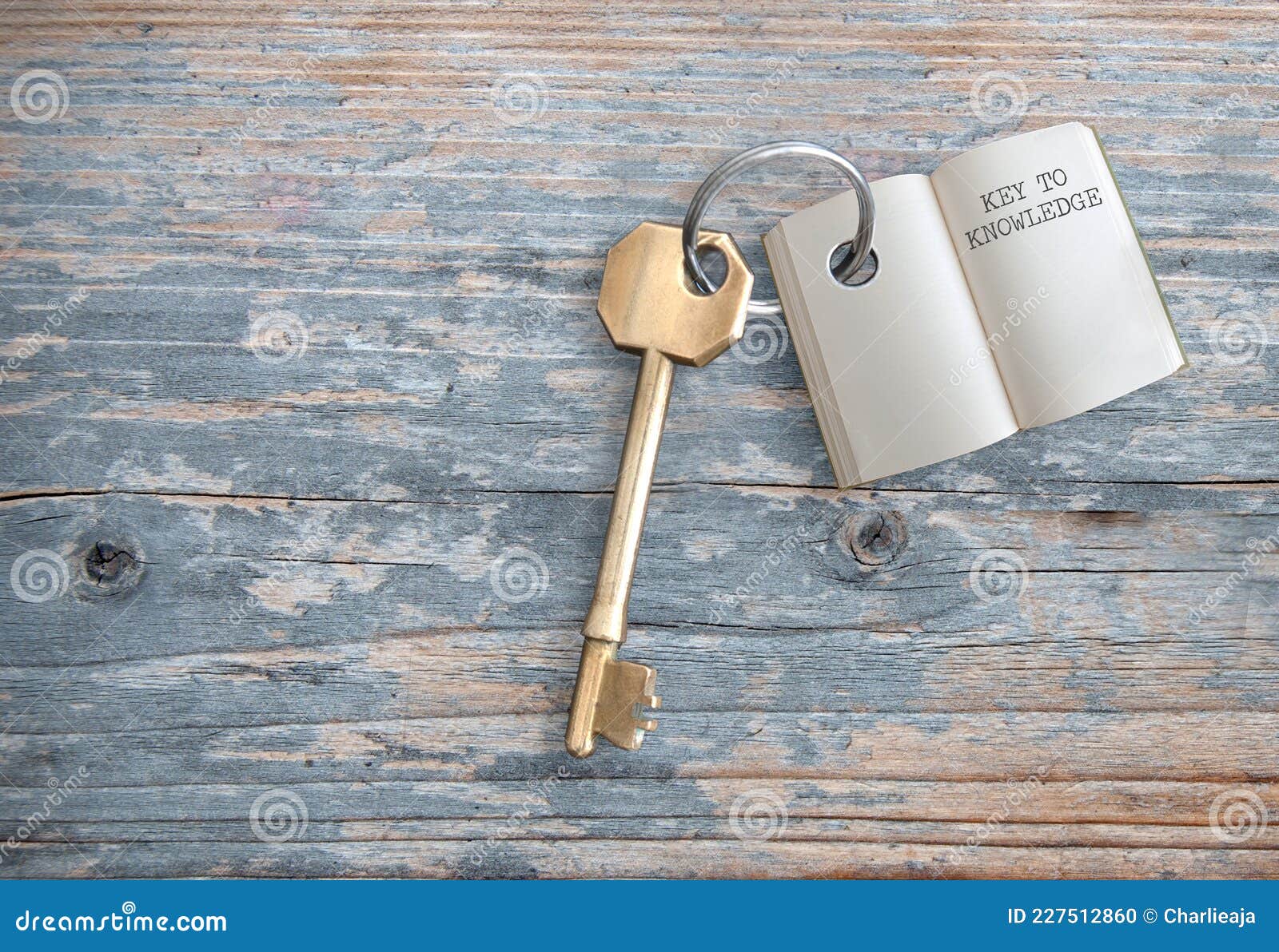 Key to knowledge stock photo. Image of knowledge, golden - 227512860