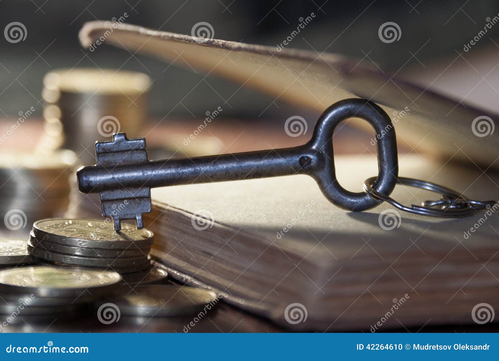 Key to money stock photo. Image of account, financial - 42264610