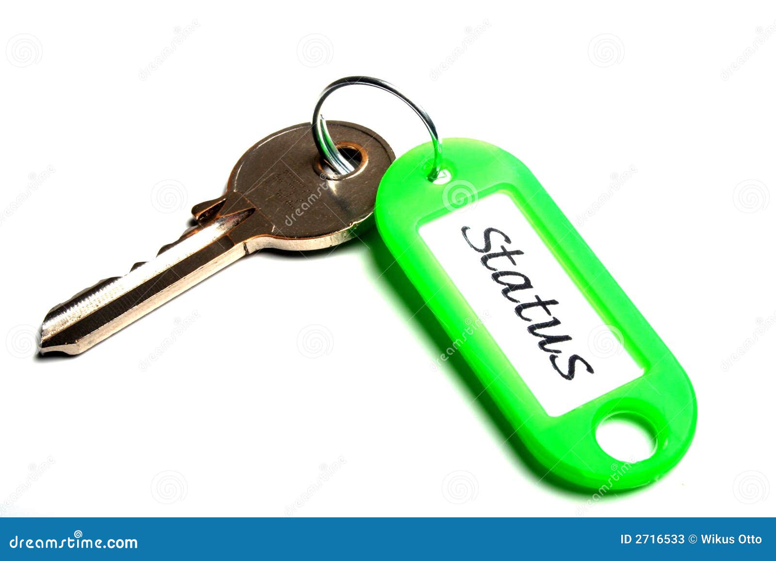 Key to Status stock image. Image of estate, security, green - 2716533