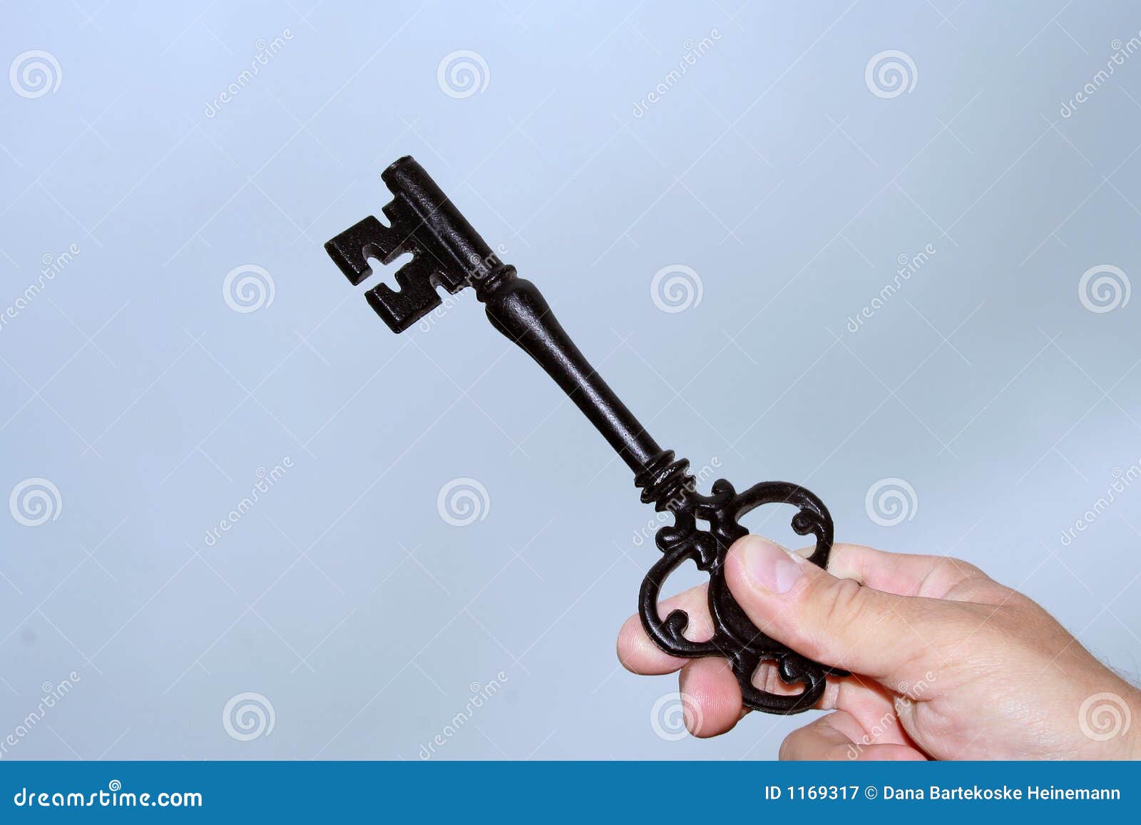 741 Black Skeleton Key Stock Photos - Free & Royalty-Free Stock Photos ...