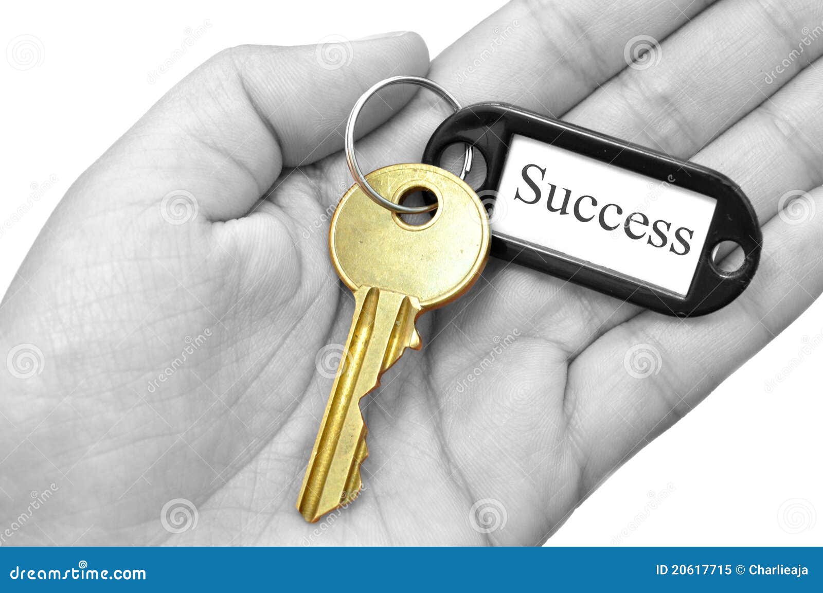 Key to success stock image. Image of exchange, achievement - 20617715