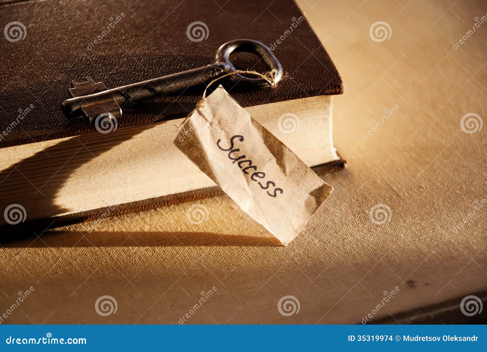 Key to success stock photo. Image of estate, hand, prospects - 35319974