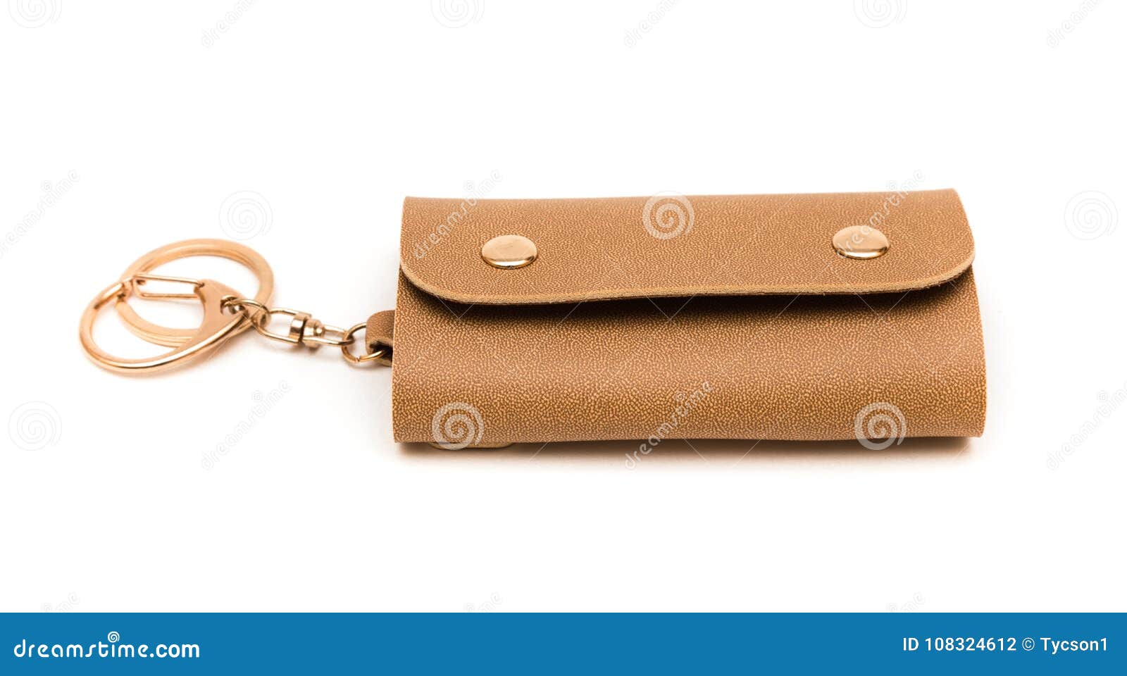 Key wallet isolated stock photo. Image of authorize - 108324612