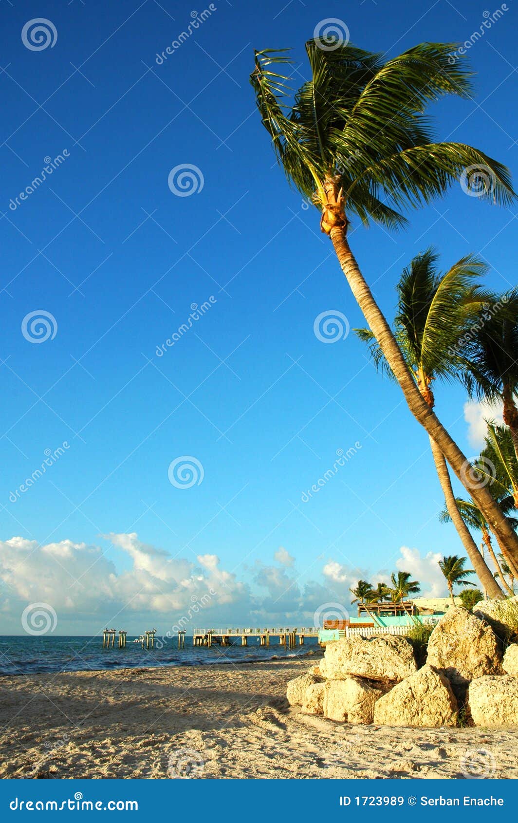 Key West En La Salida Del Sol Imagen de archivo - Imagen de azul ...