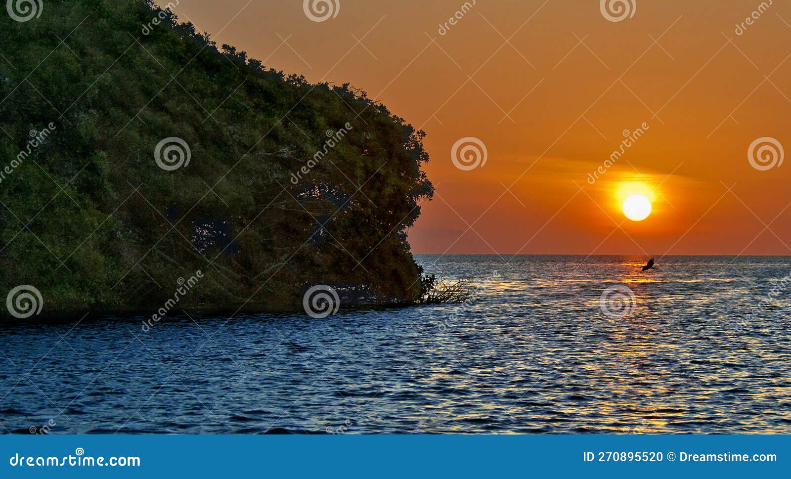 Key west sunset stock photo. Image of dusk, dawn, wave - 270895520