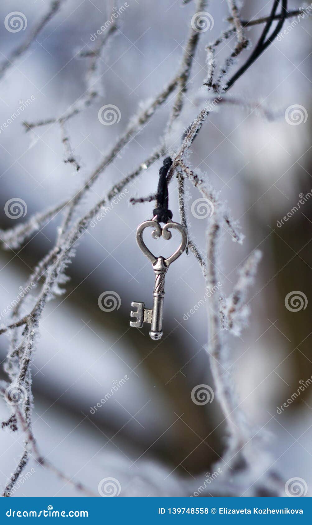 Key on winter branch stock photo. Image of chain, fairy - 139748558