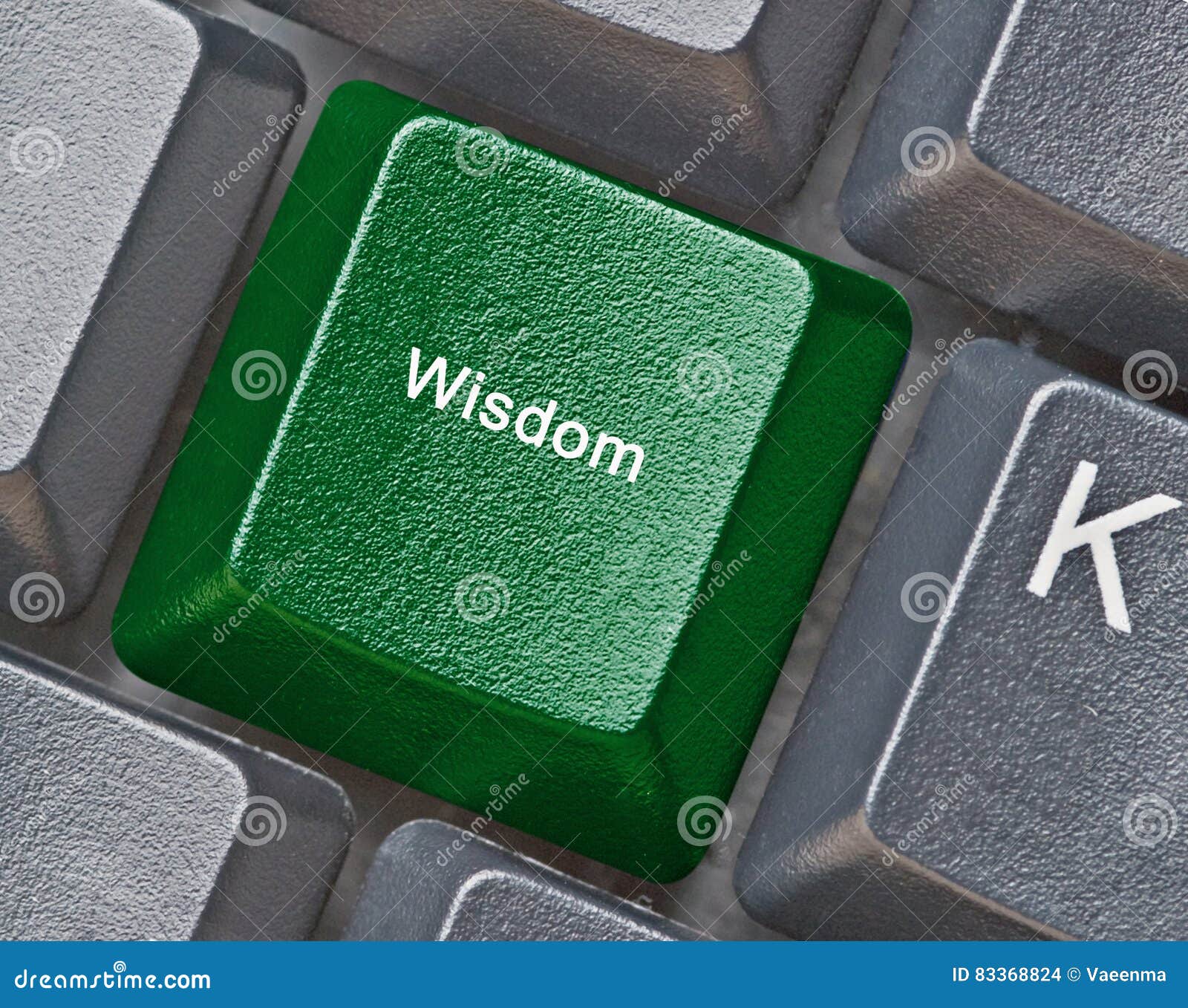 Key for wisdom stock photo. Image of wisdom, learning - 83368824