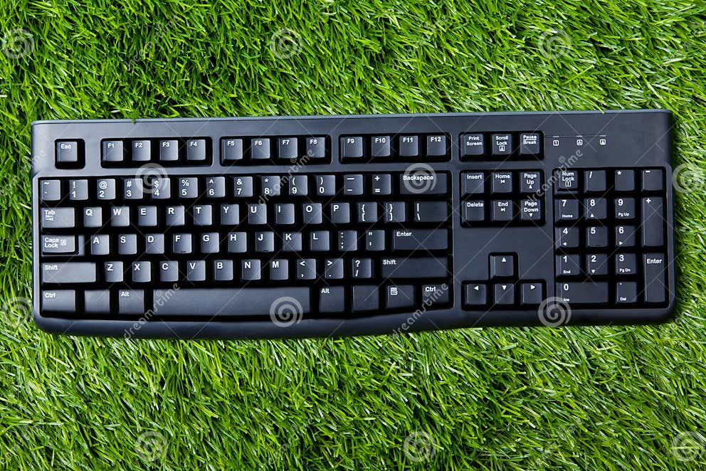 Keyboard on grass stock photo. Image of desk, mobility - 24207560