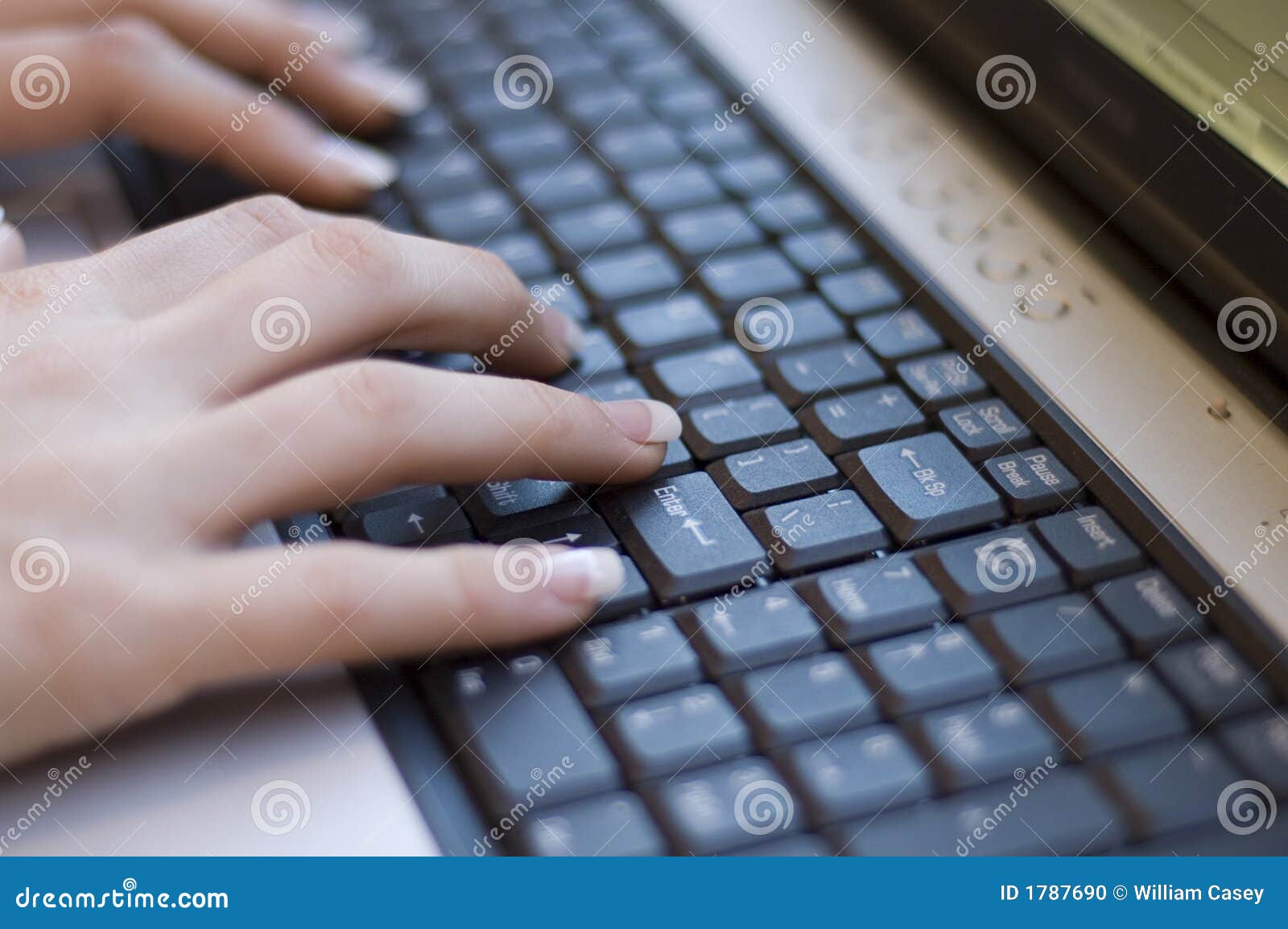 Keyboard and hands stock photo. Image of beautiful, laptop - 1787690