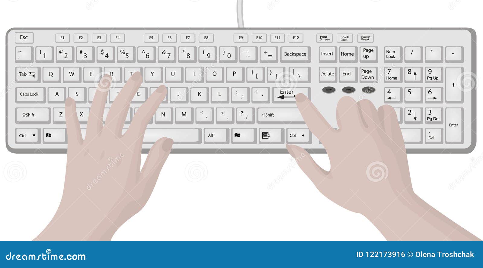 Keyboard Hands Vector Set. | CartoonDealer.com #79677969