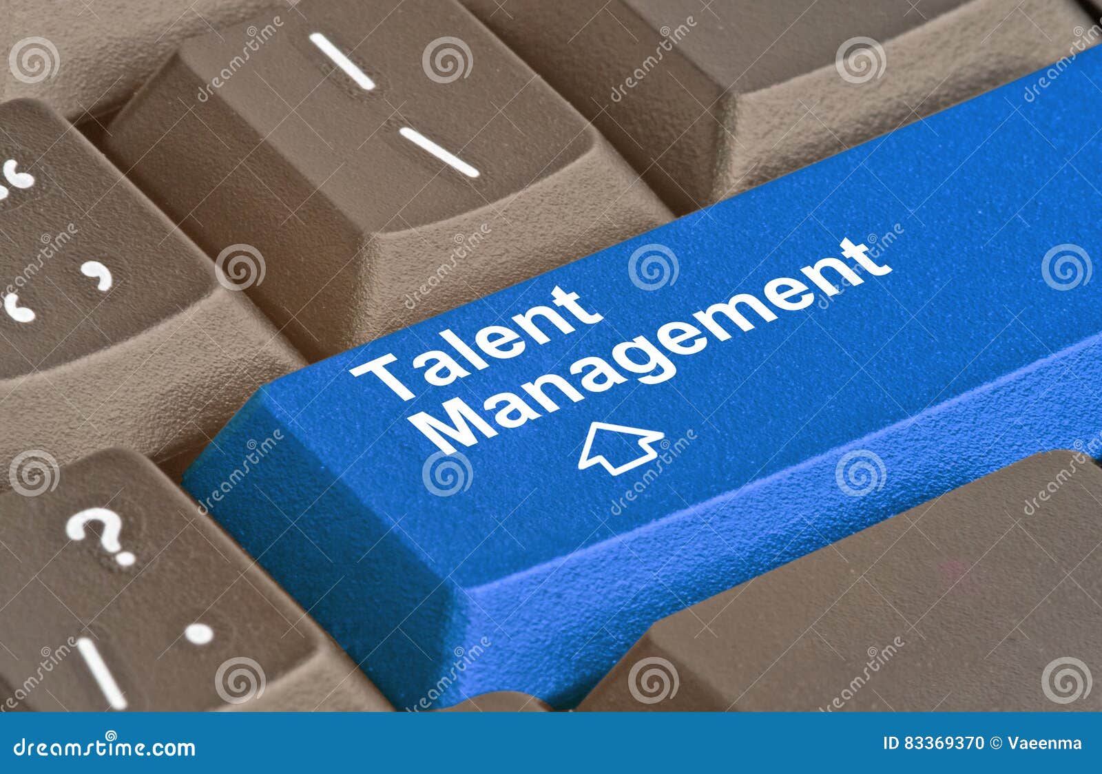 Key for talent management stock photo. Image of management - 83369370