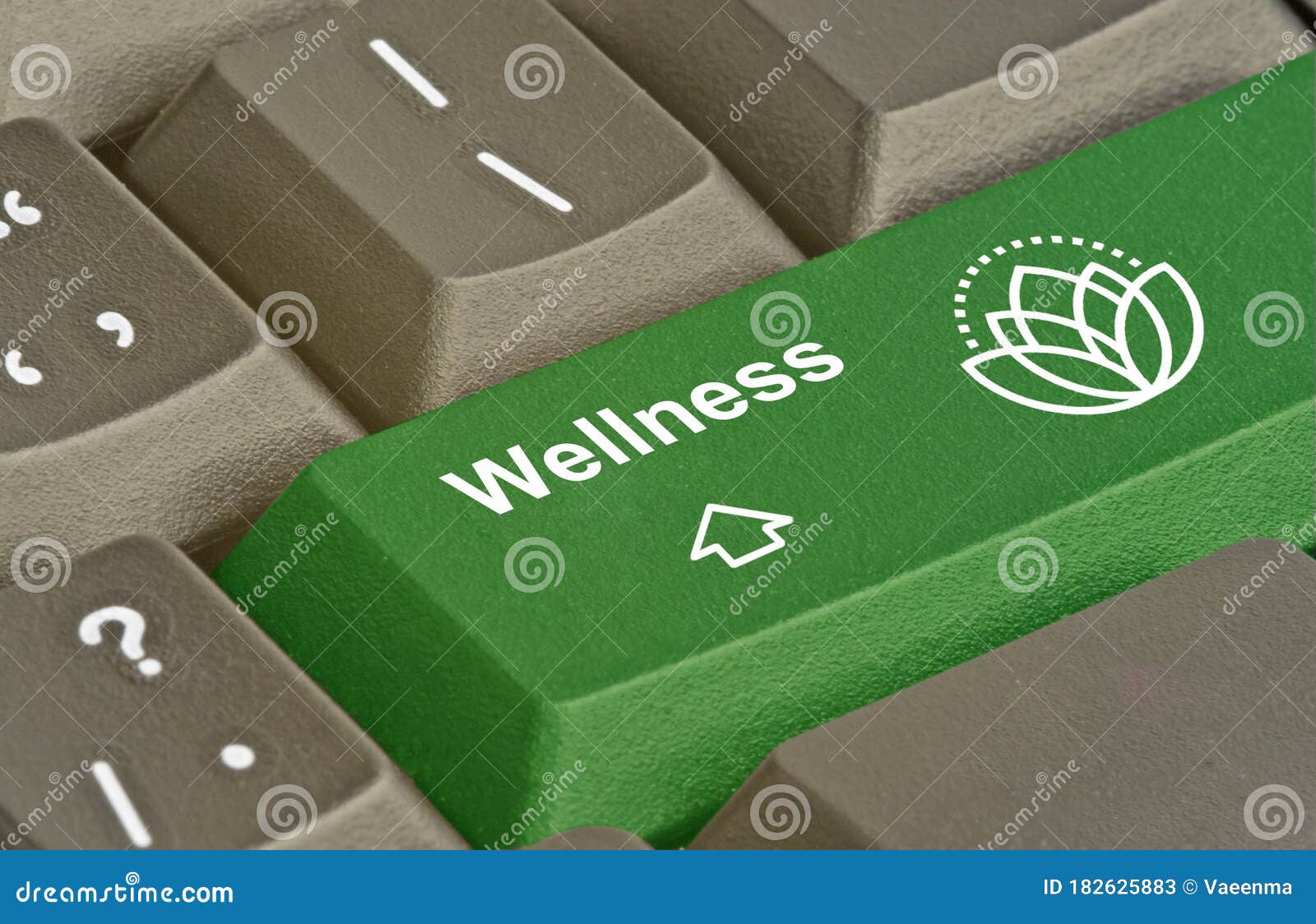 Key for wellness stock image. Image of computer, wellness - 182625883