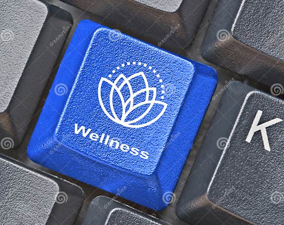 Key for wellness stock photo. Image of wellnsess, feeling - 184537534