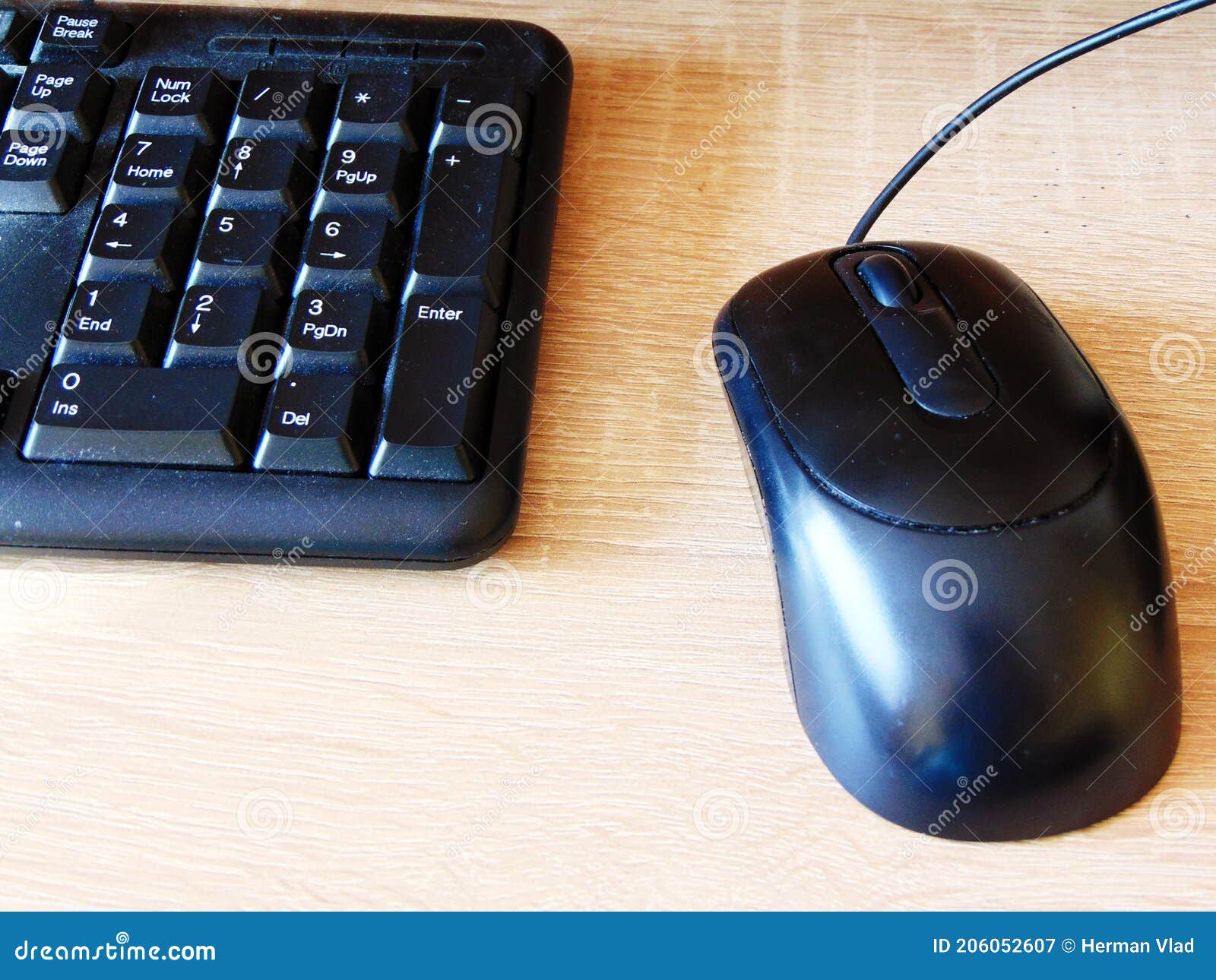 A keyboard and a mouse stock image. Image of angus, cage - 206052607