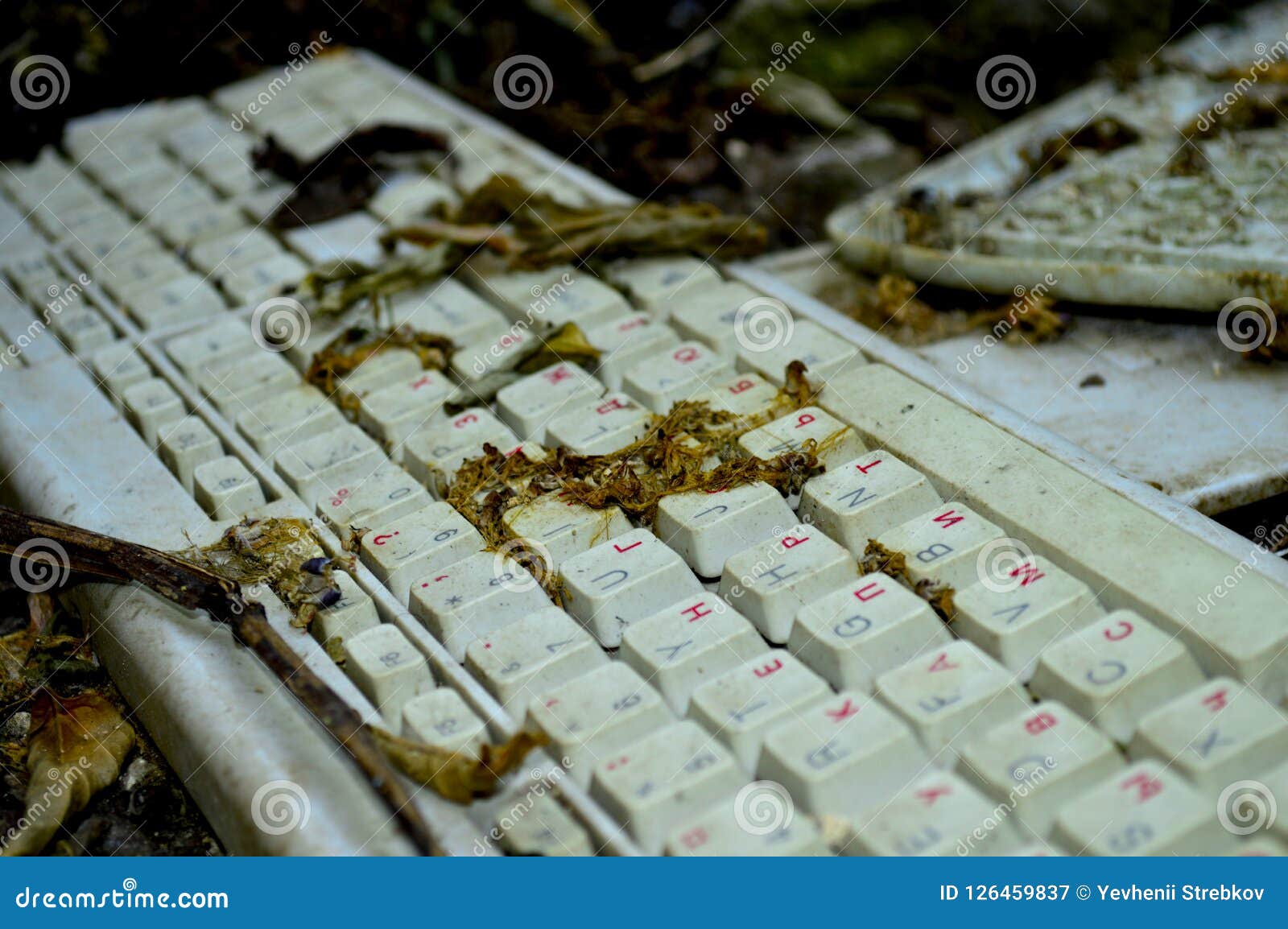 The Keyboard is Old Dirty on the Dump Stock Image - Image of damage ...
