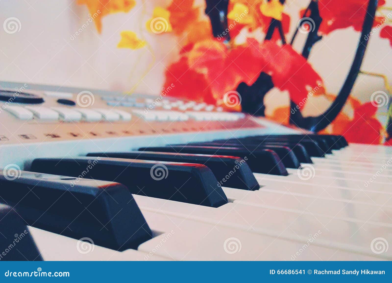 Vsco keys simple layout - mumuca