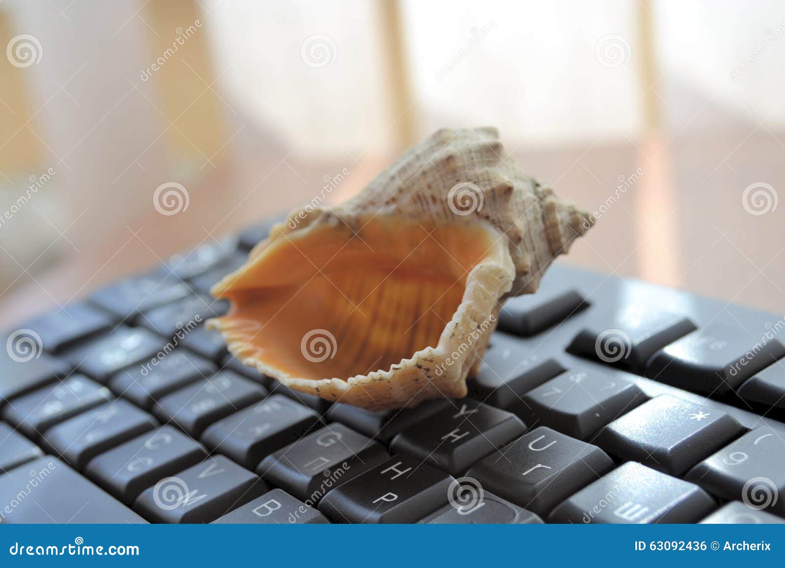 Keyboard with shell stock photo. Image of leave, symbol - 63092436