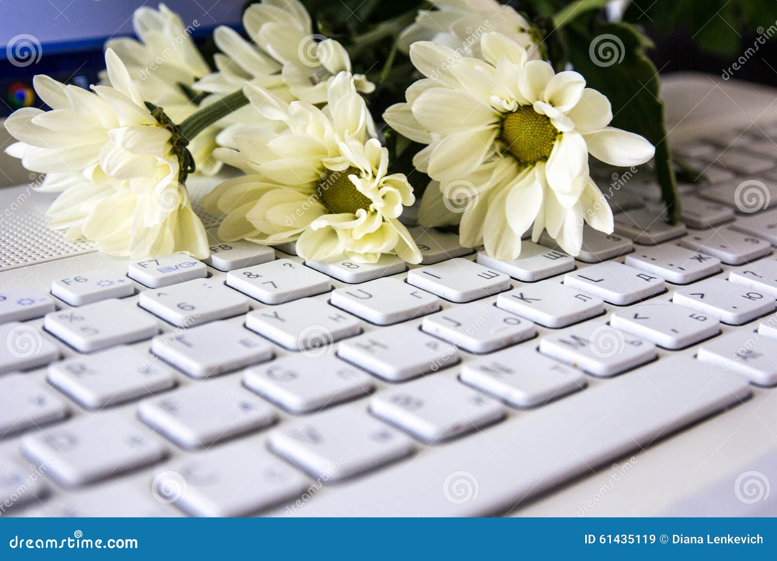Keyboard stock image. Image of flower, task, article - 61435119