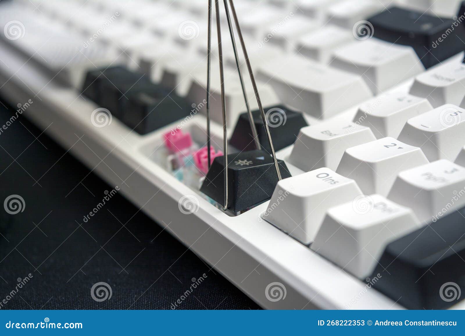 Keycaps remover stock image. Image of technician, equipment - 268222353