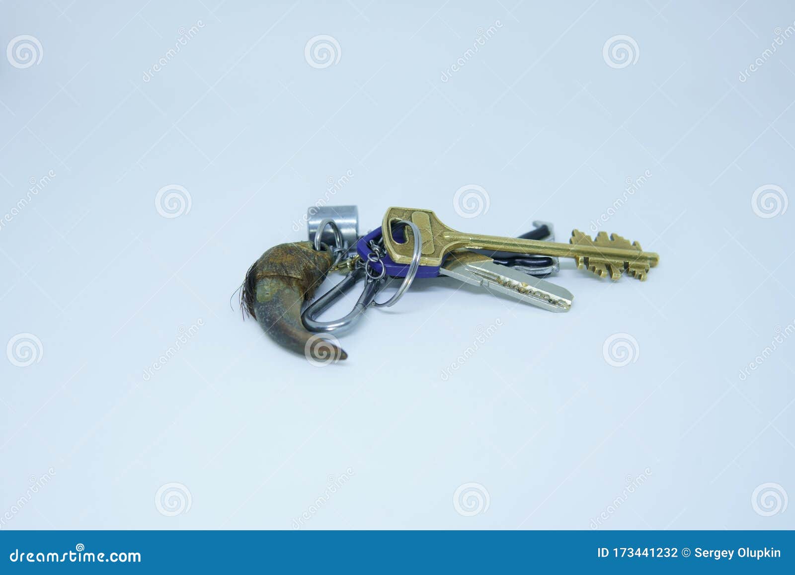 Keychain bear hand stock photo. Image of hand, bear - 173441232