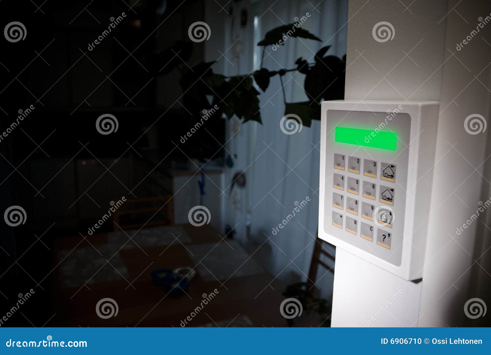 Keypad stock photo. Image of robbery, numeric, warning - 6906710