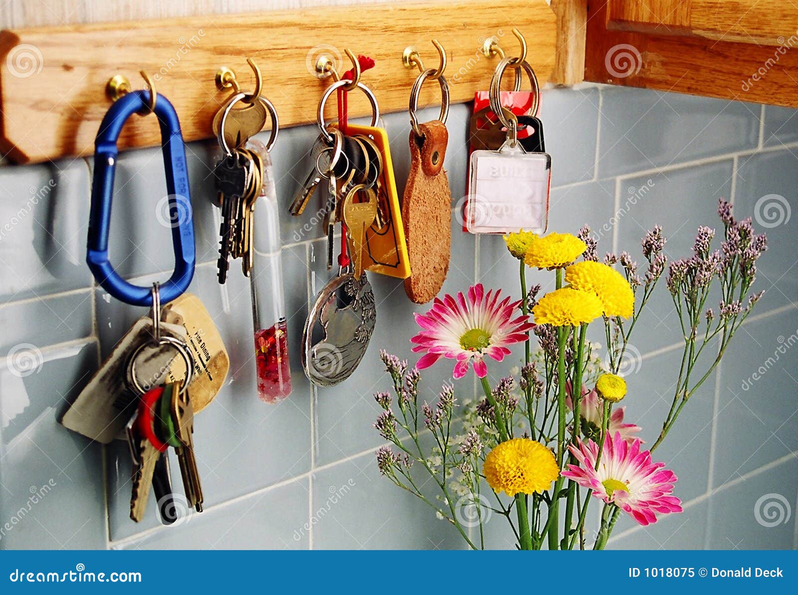 Daisy Padlock Stock Photos - Free & Royalty-Free Stock Photos from ...