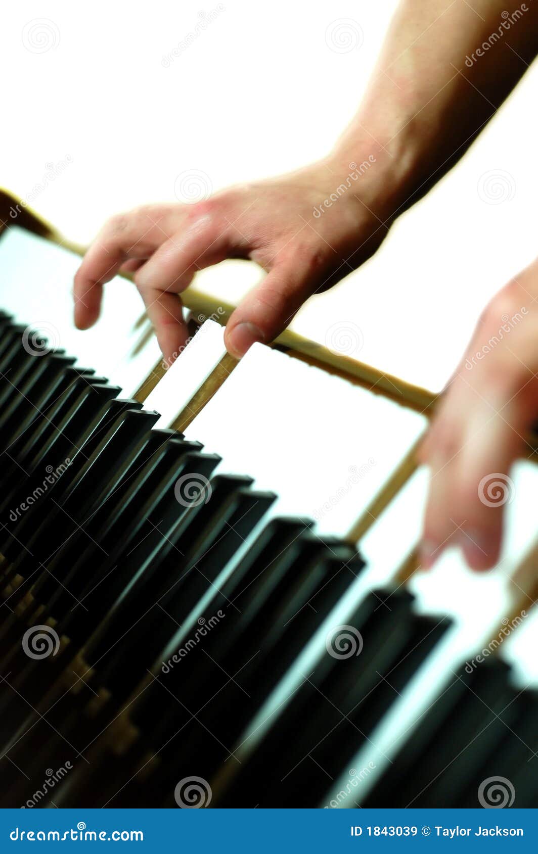Keys stock image. Image of symphony, band, orchestra, play - 1843039