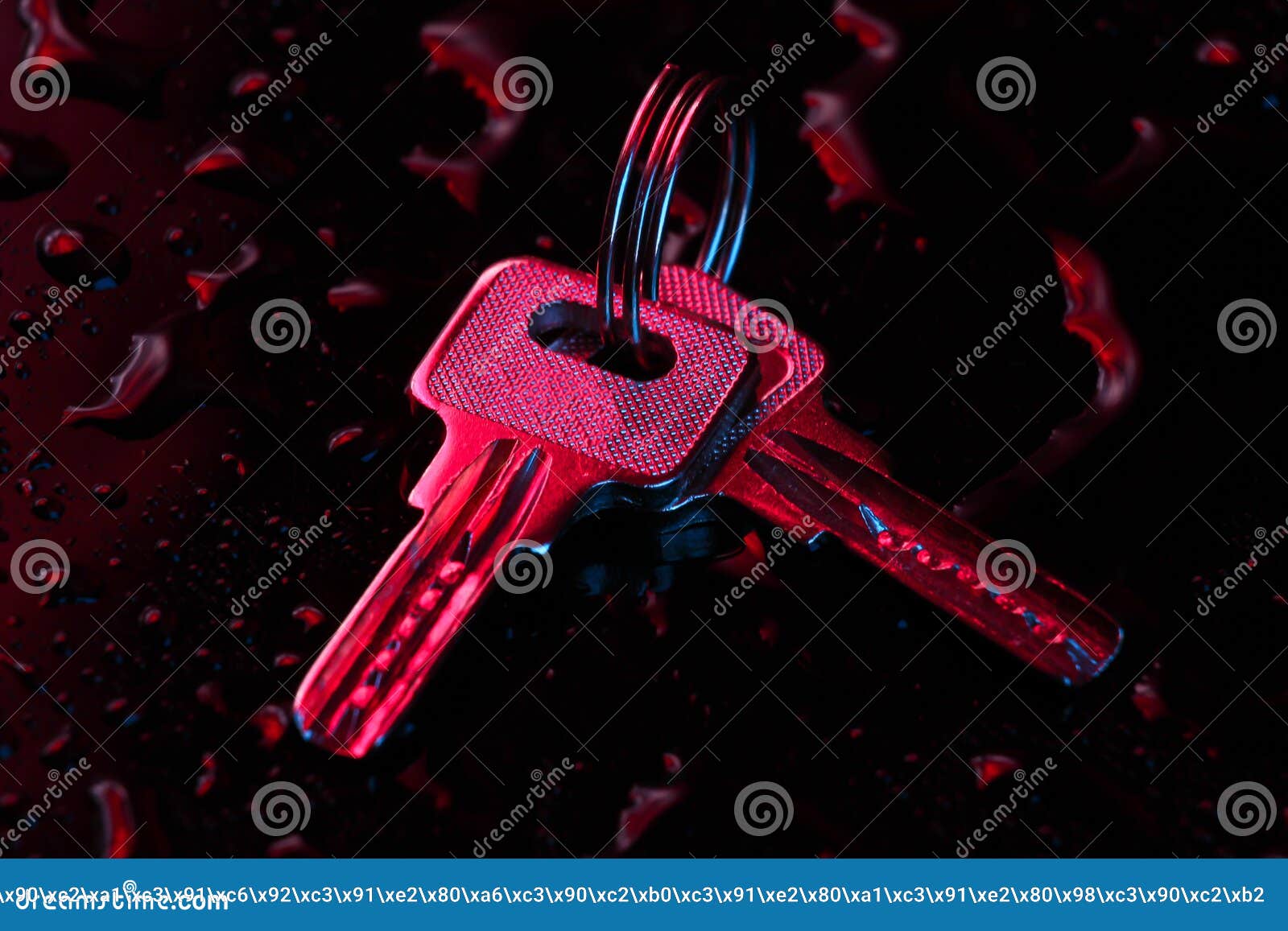 Keys stock photo. Image of secret, protection, unlock - 236371090