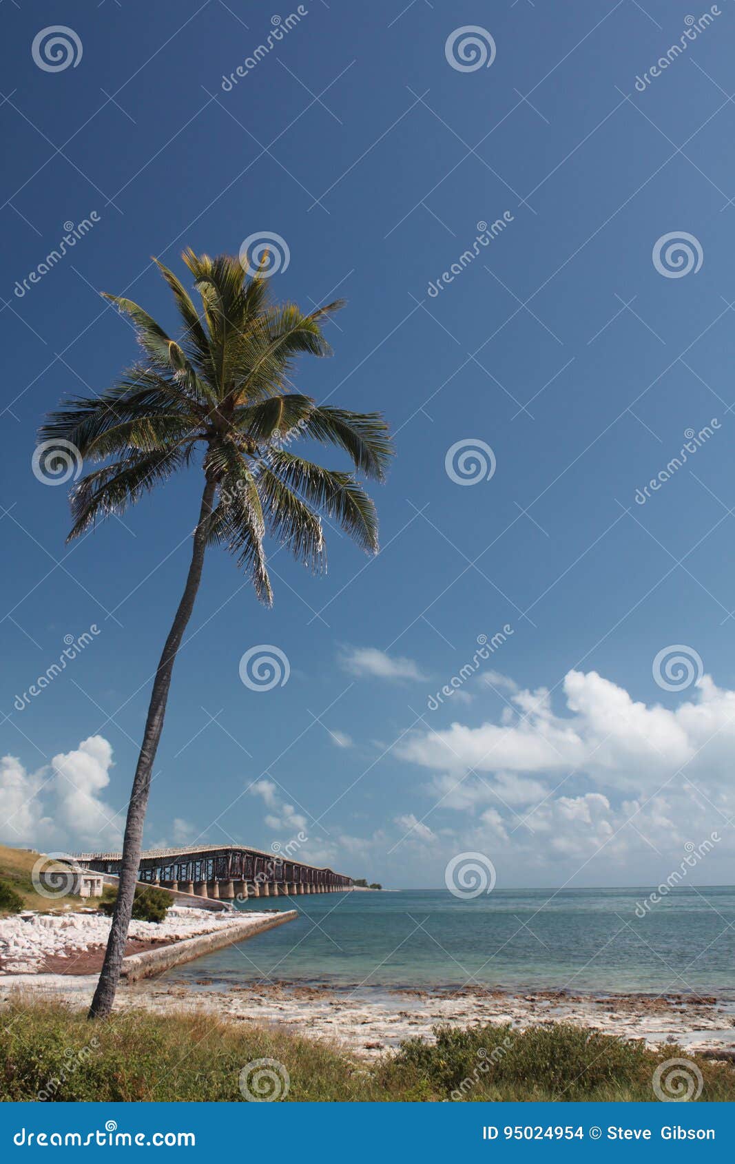 Keys Bridge Scenic stock photo. Image of shore, tropics - 95024954