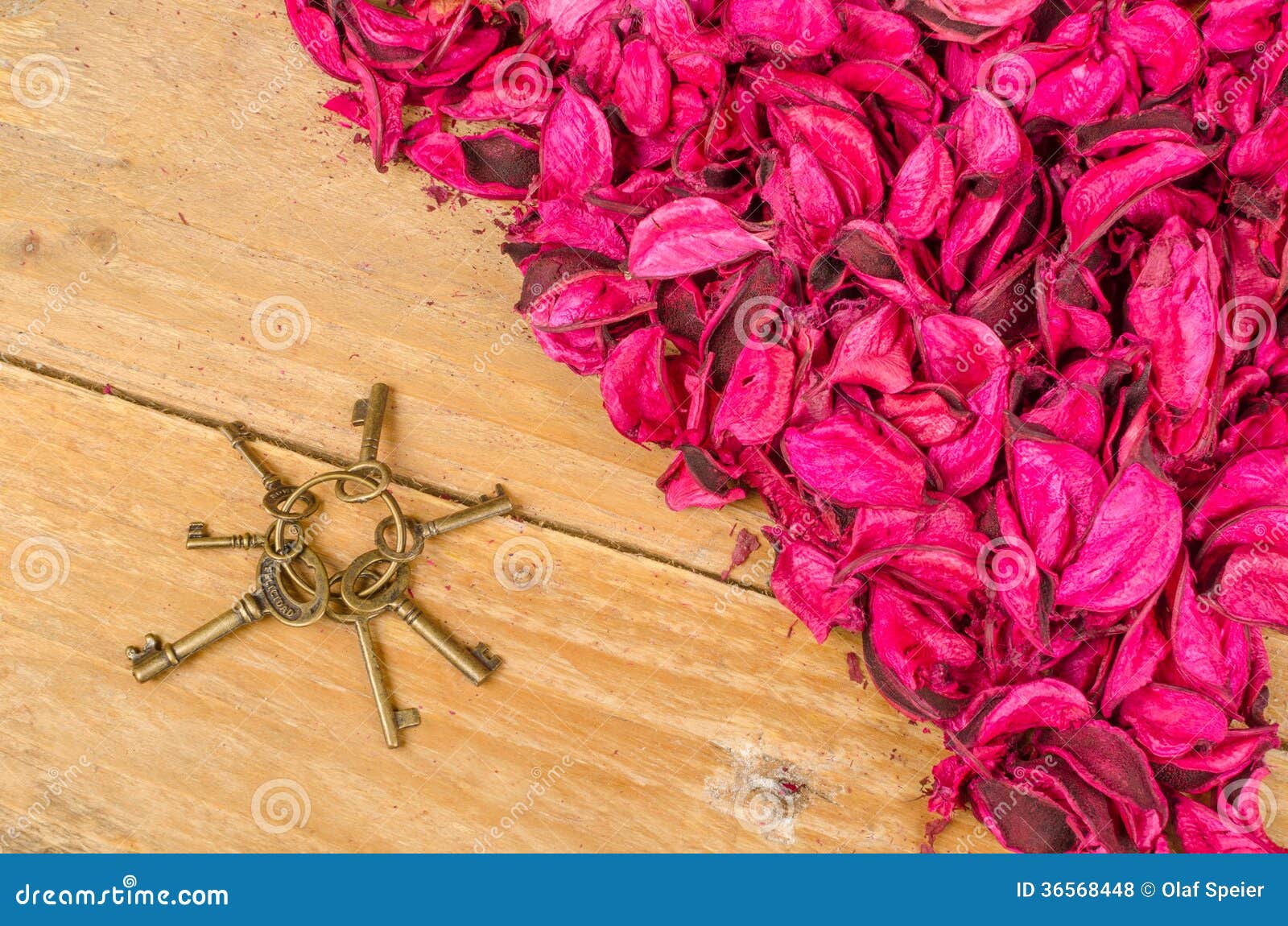 Keys and flowers stock photo. Image of heart, keys, festive - 36568448