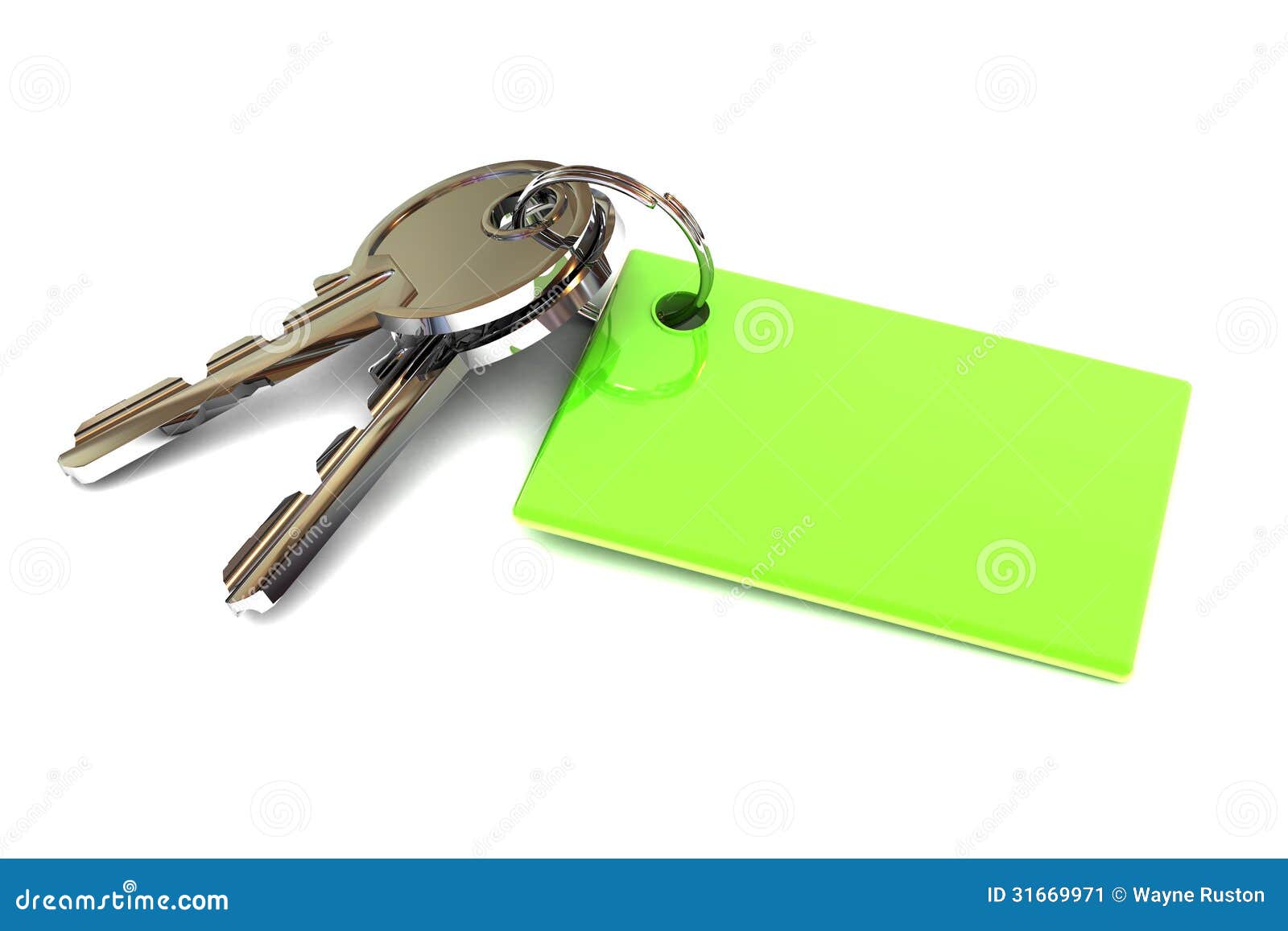 Keys with a Green Blank Keyring Stock Illustration - Illustration of ...