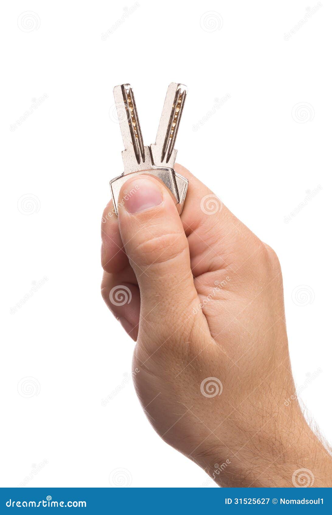 Keys in hand stock image. Image of giving, human, owner - 31525627